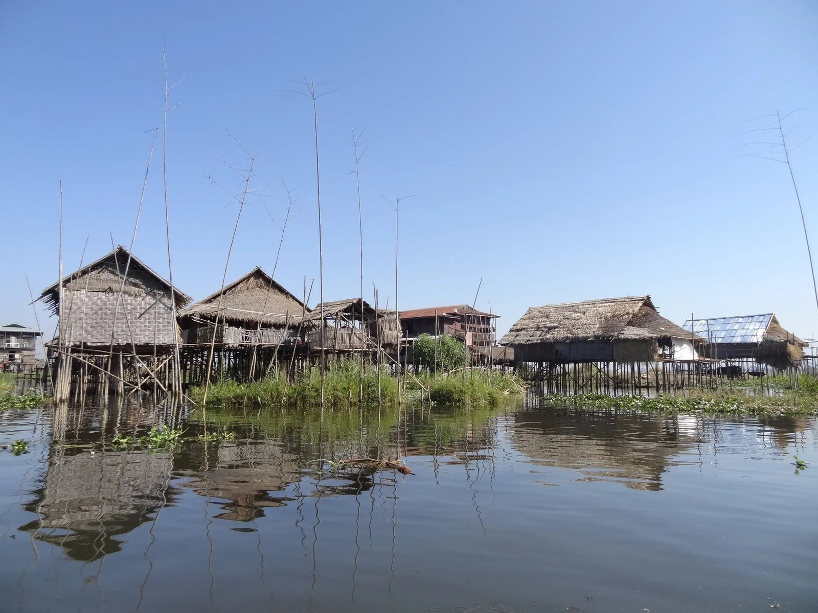 Stilt Home Designs
